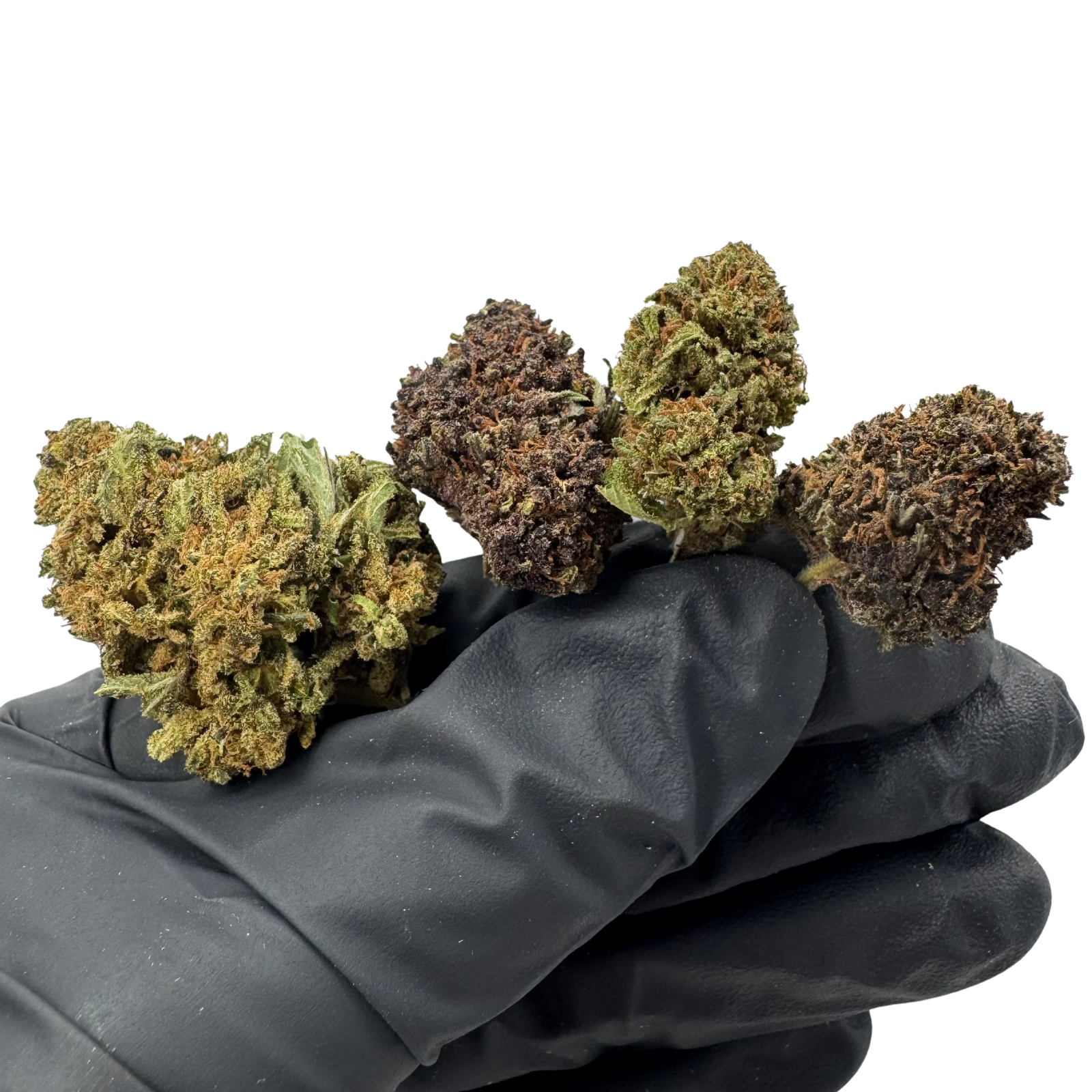 Legendary Kush CBD Smalls | JAXON